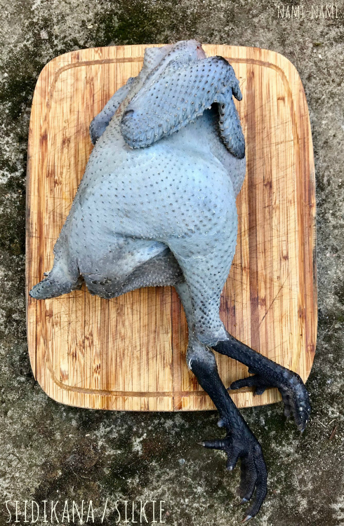 Siidikana ženšenniga
